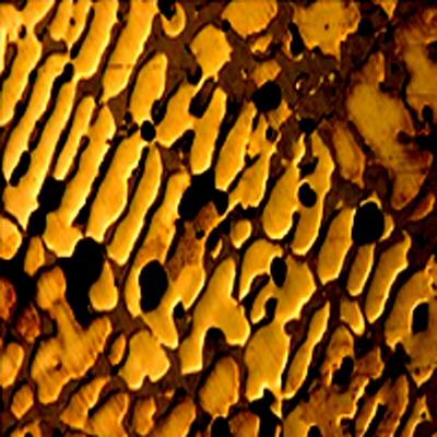 Envig ScaNil Scale Prevention and Removal System