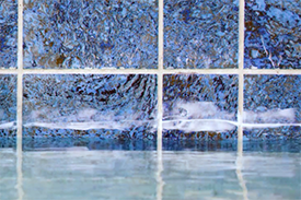 Envig ScaNil Scale Prevention and Removal System